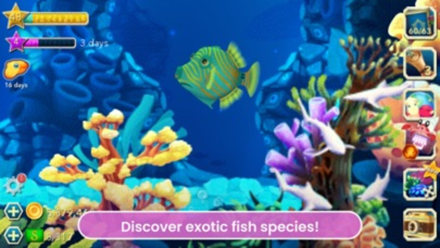 Splash: Fish Sanctuaryの配信日とアプリ情報 | 予約トップ10